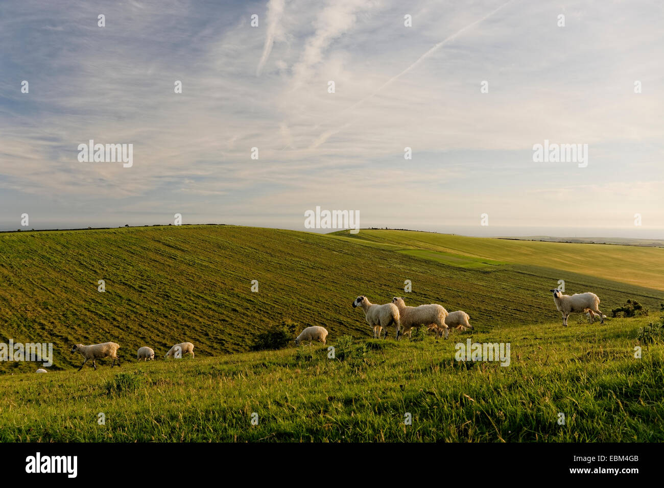 Rolling downland hi-res stock photography and images - Alamy