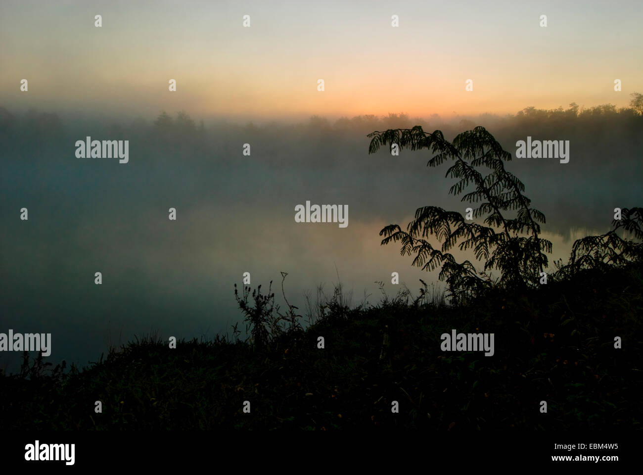Pond with mist rising at sunrise near Patoka River National Wildlife ...