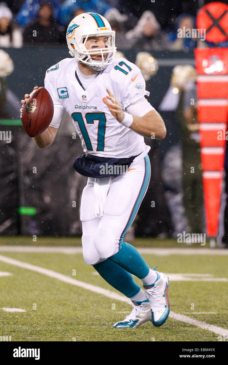 Rutherford, New Jersey. 1st Dec, 2014. Miami Dolphins quarterback Ryan ...