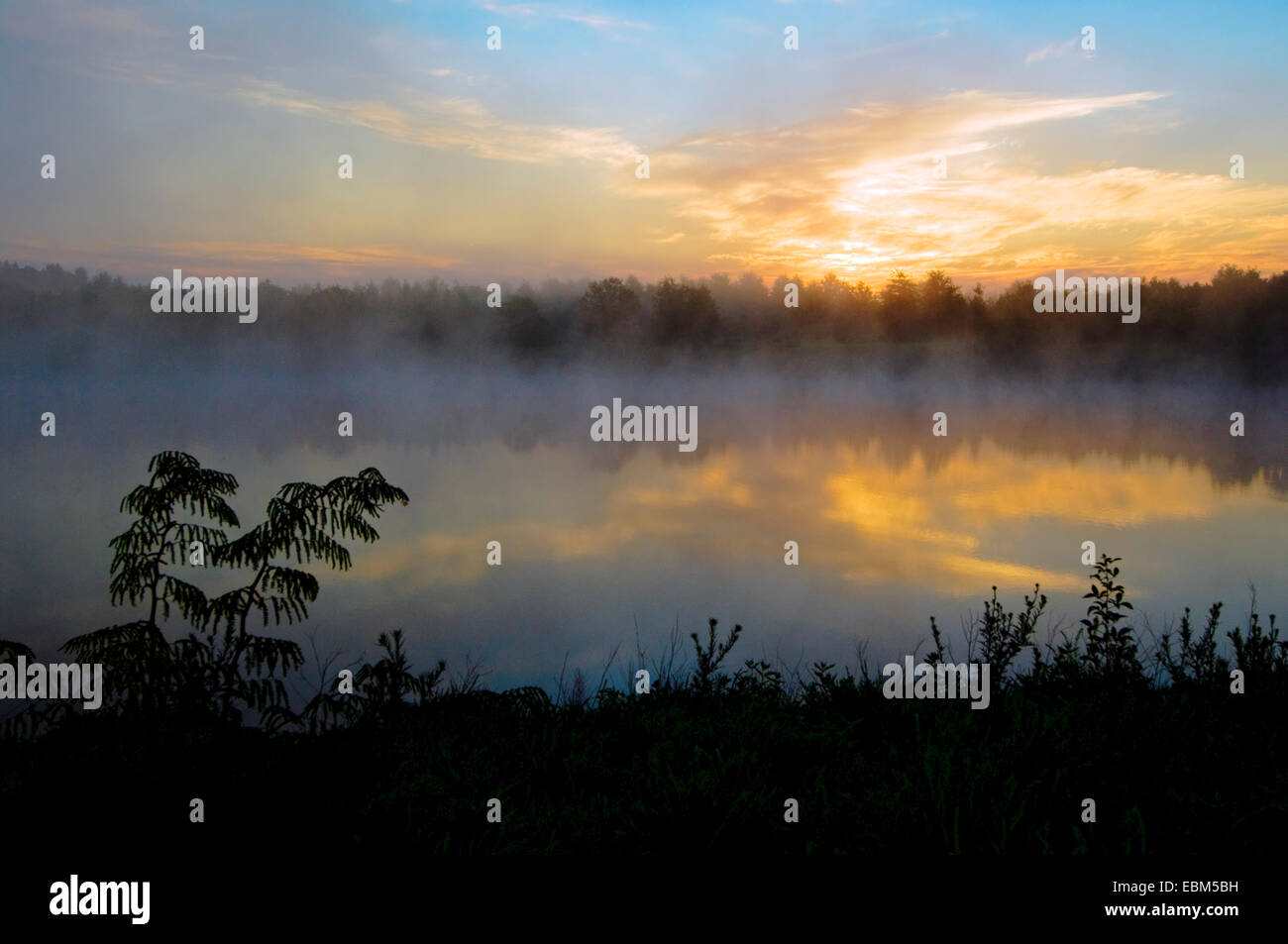 Pond with mist rising at sunrise near Patoka River National Wildlife ...
