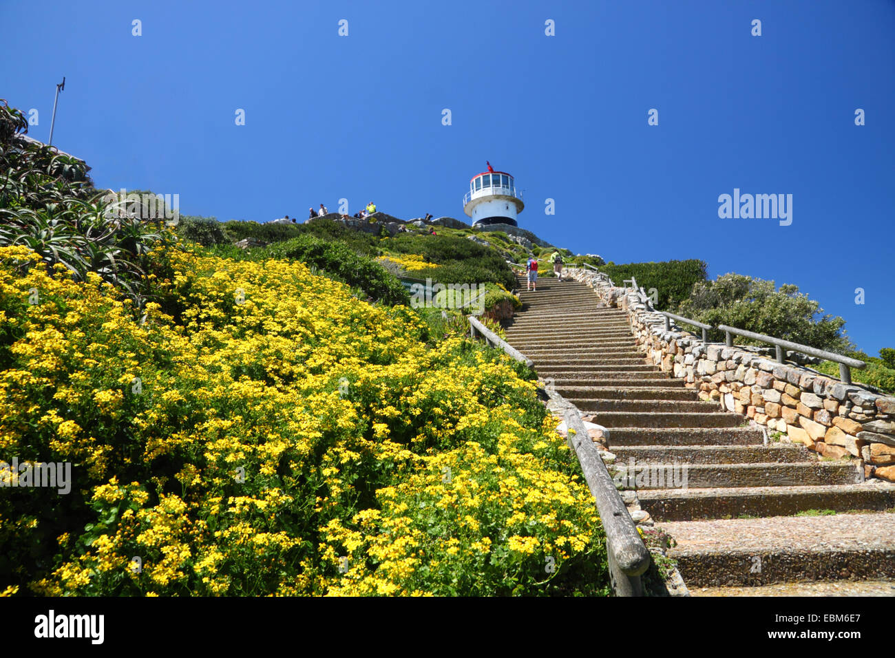 Steps up to a circular lighthouse with yellow flowers in the foreground ...