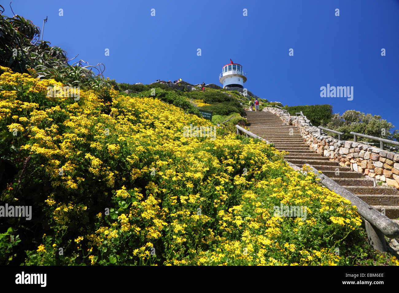 Steps up to a circular lighthouse with yellow flowers in the foreground ...