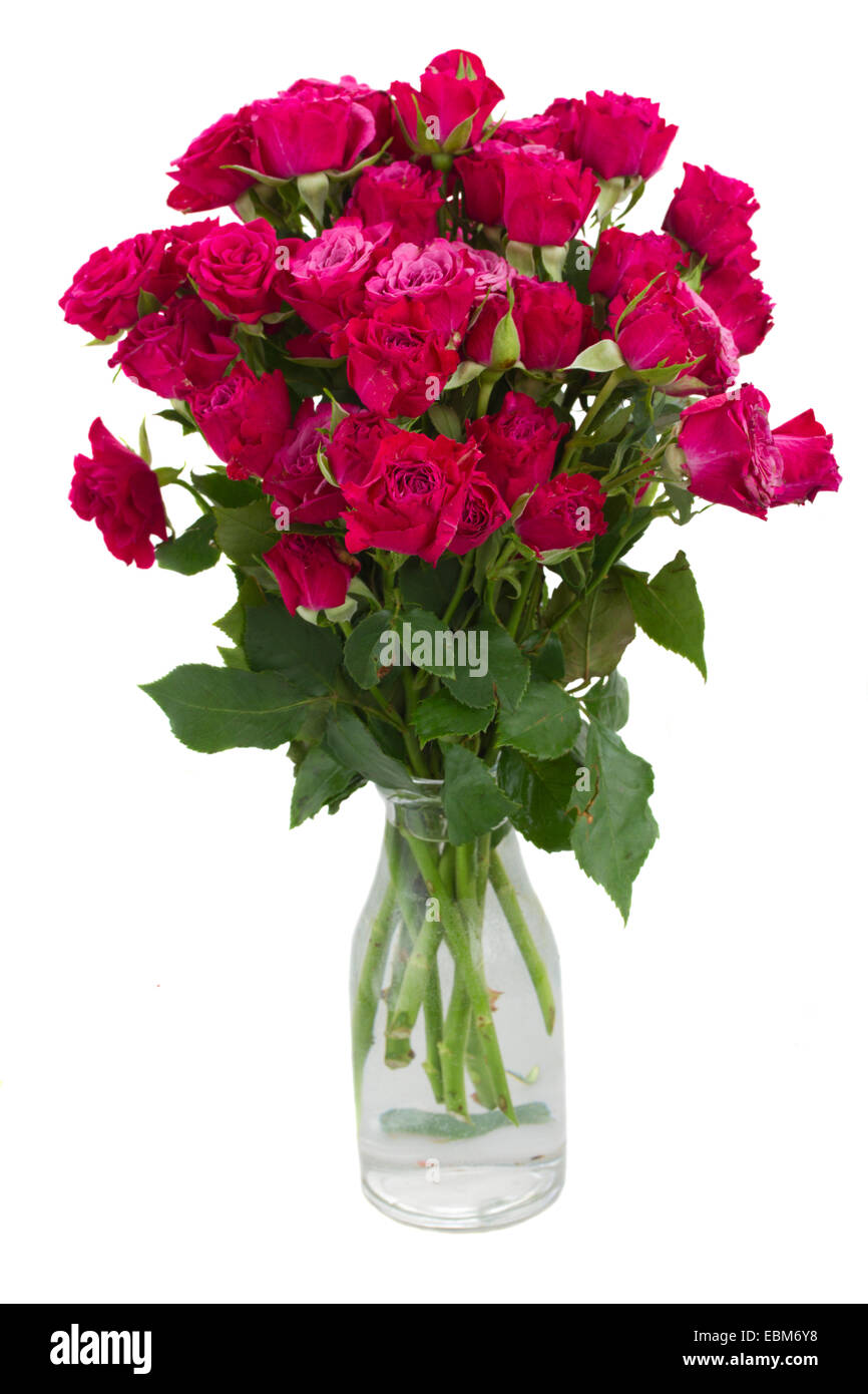 Mauve color roses Cut Out Stock Images & Pictures - Alamy