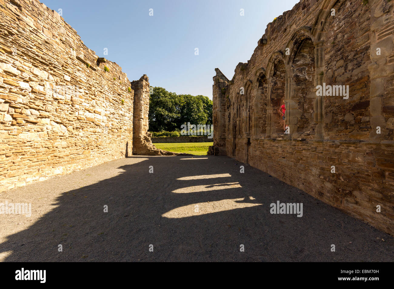 12th century ruins, Basingwerk Abbey, Holywell, Flintshire, North Wales ...