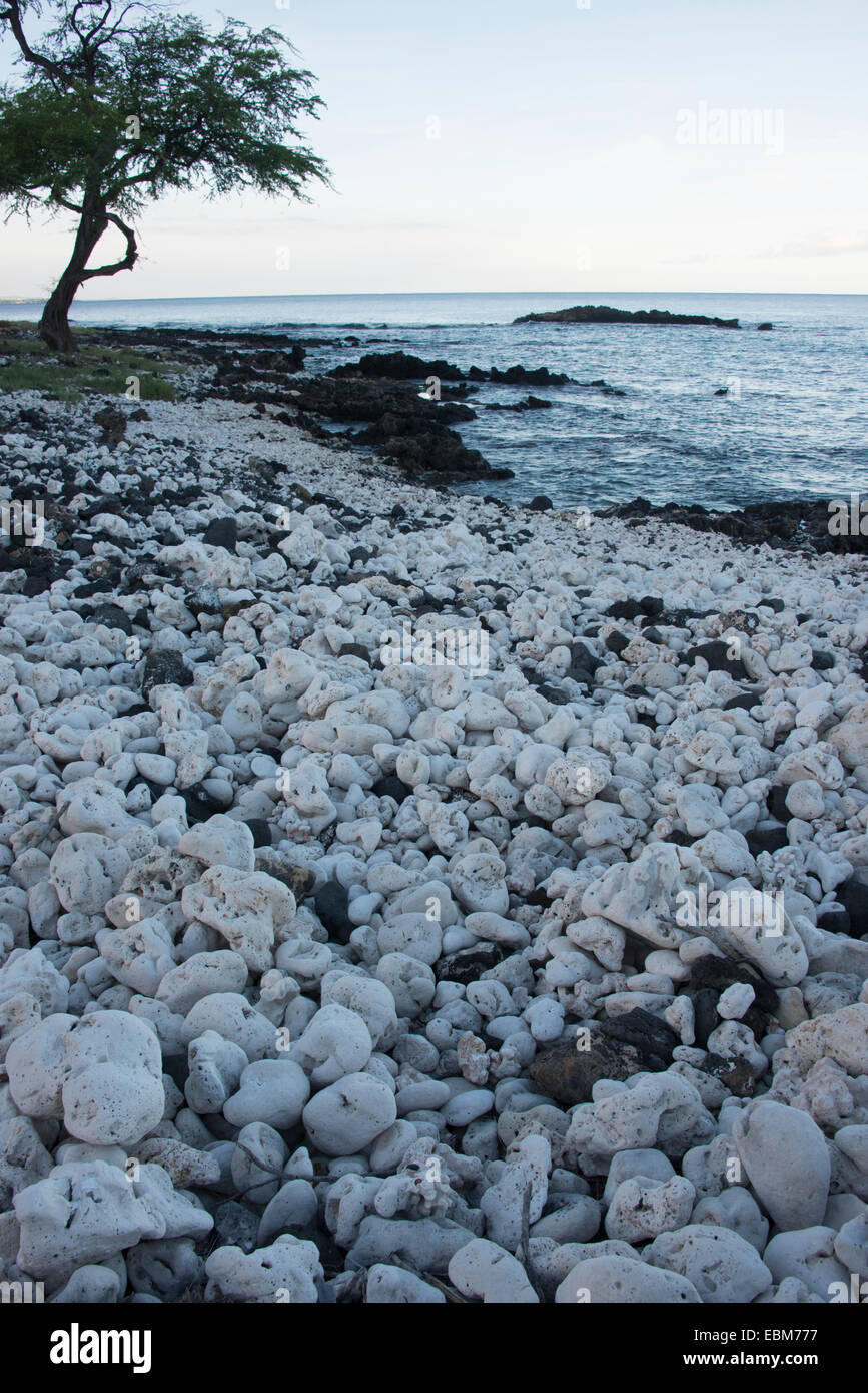 South Pacific Pebbles High Resolution Stock Photography and Images - Alamy