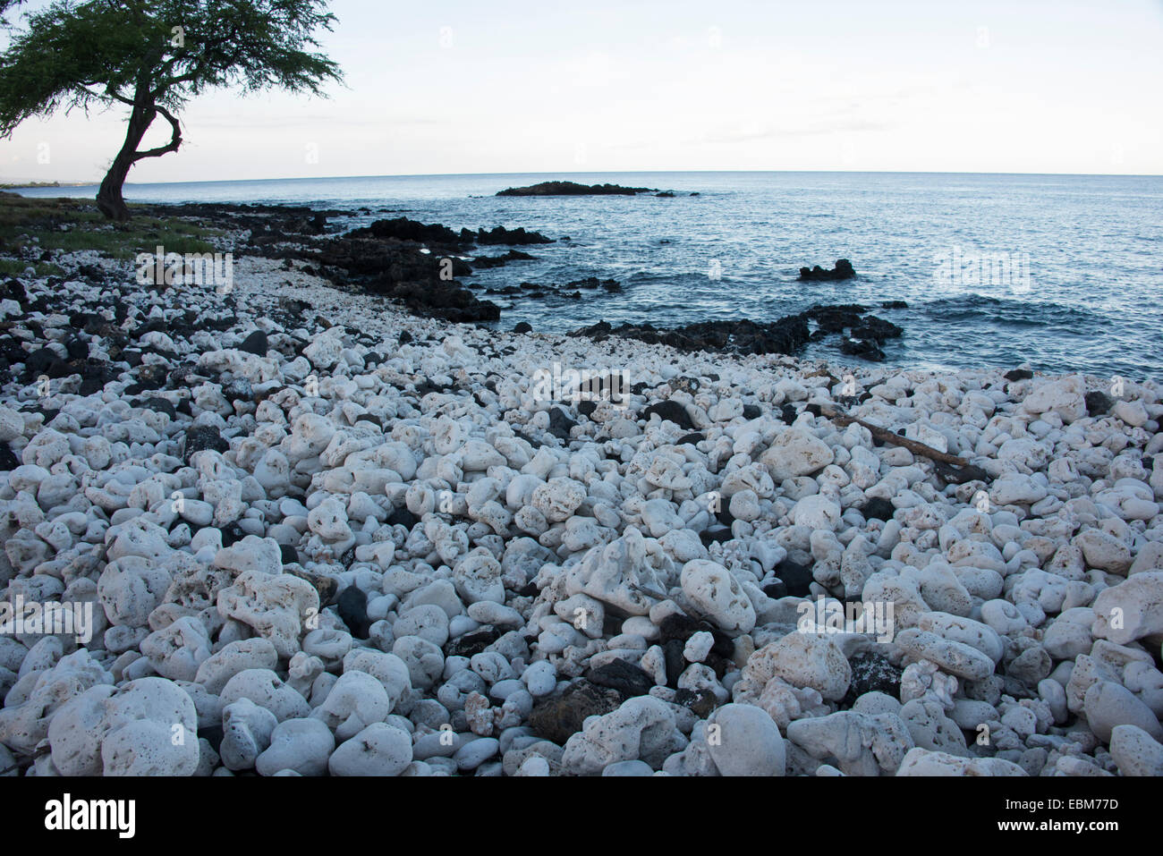 Shingle And Rocks On The Beach High Resolution Stock Photography and ...