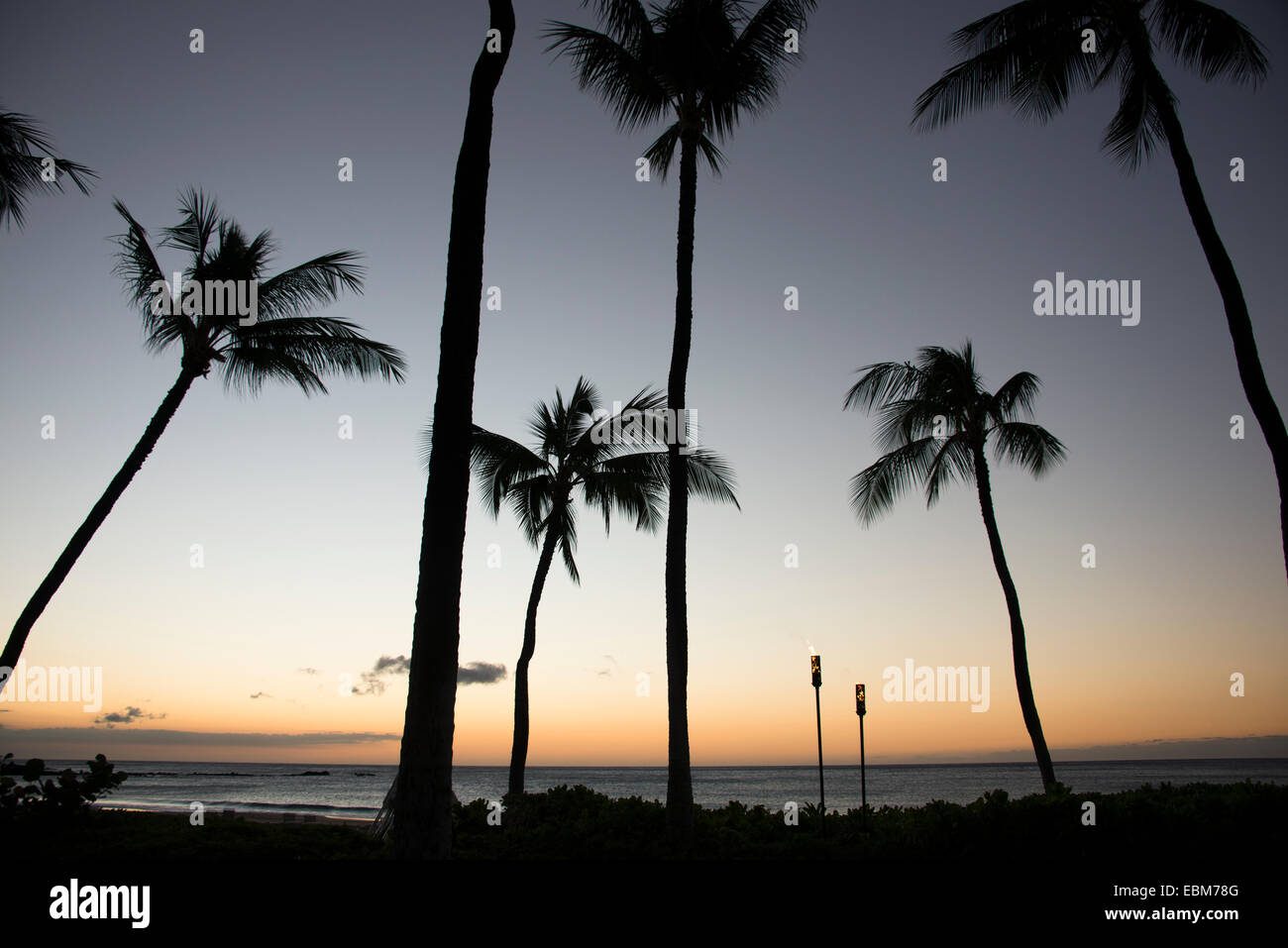 Tiki Torches Hawaii High Resolution Stock Photography and Images - Alamy