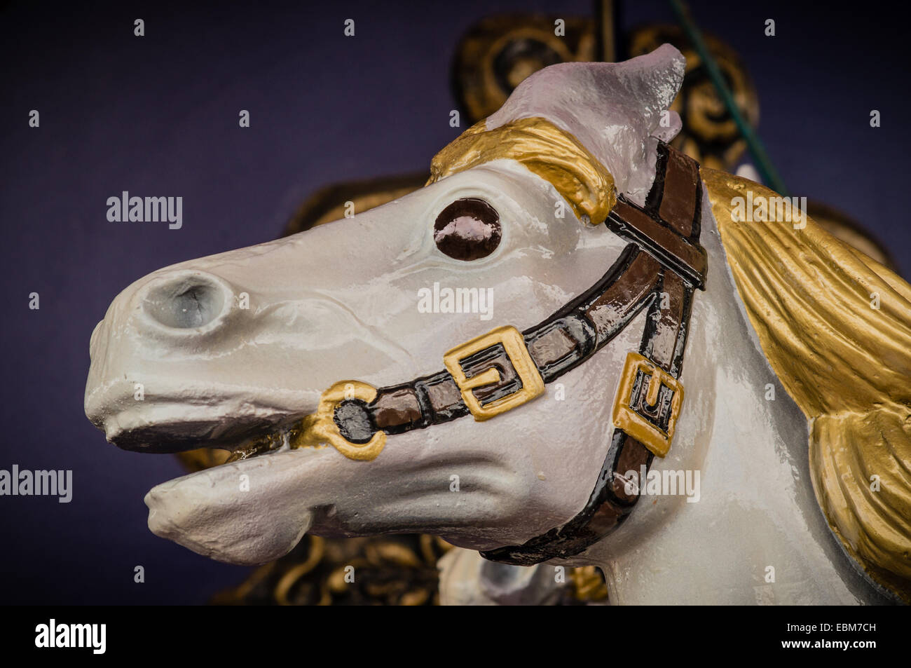 Carousel horse head hi-res stock photography and images - Alamy