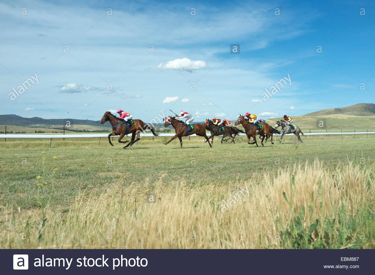 Australian Horse Race High Resolution Stock Photography and Images - Alamy