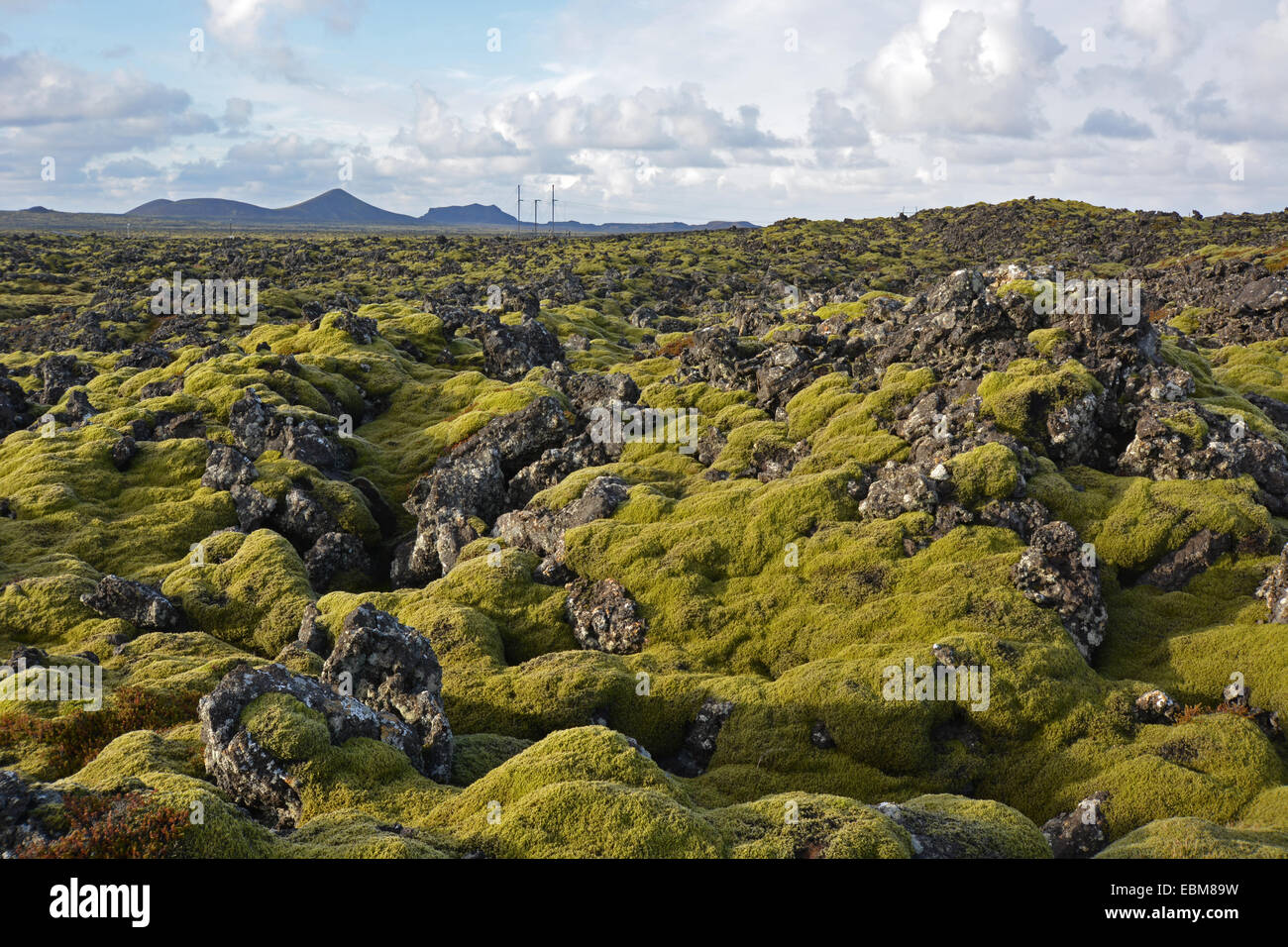 Moss covered lava fields at the Blue Lagoon, South West Iceland Stock ...