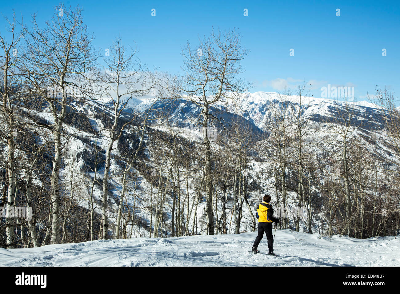 Aspen Colorado Winter Snow Trees Stock Photos & Aspen Colorado Winter ...