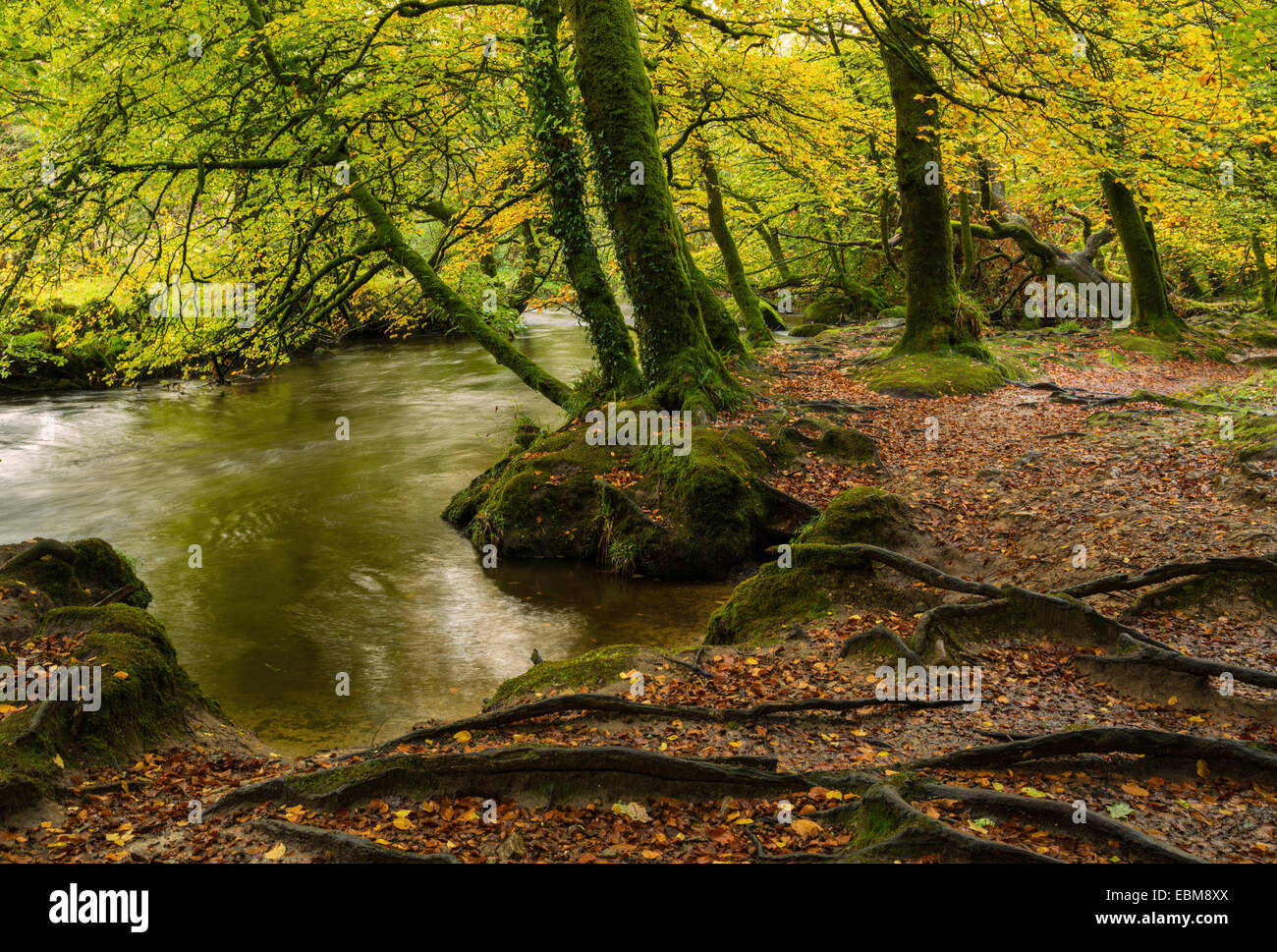 Fowey valley hi-res stock photography and images - Alamy