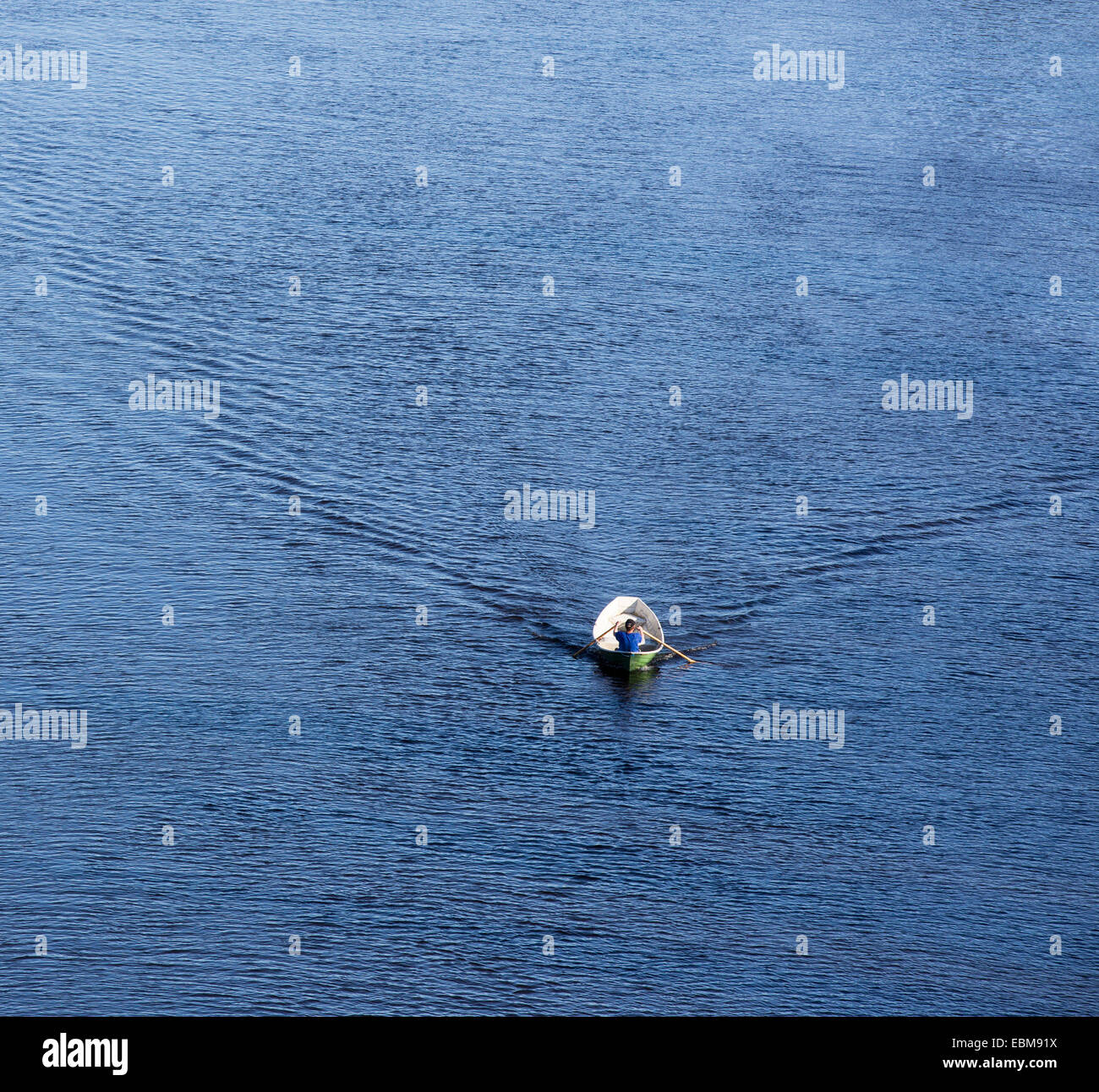 Rowing Boat From Above High Resolution Stock Photography and Images - Alamy