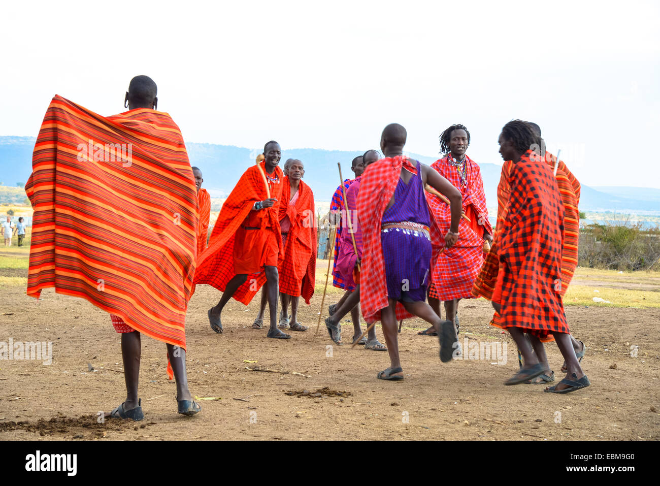Cattle jump ritual hi-res stock photography and images - Alamy