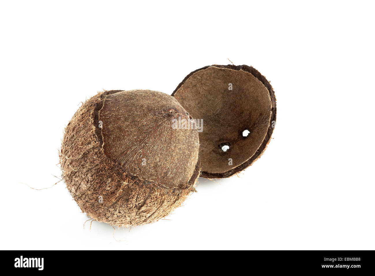 Close up view of nice fresh coconut on white back Stock Photo - Alamy