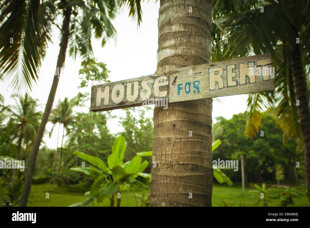 Jungle tab hi-res stock photography and images - Alamy