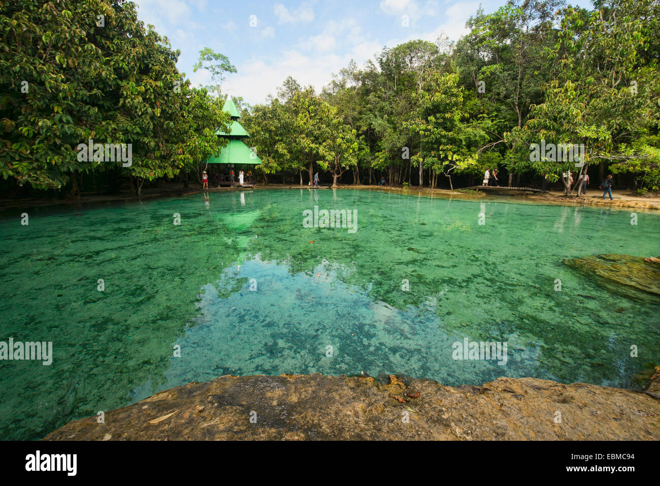 The Sa Morakot Emerald Pool in Krabi, Thailand Stock Photo - Alamy