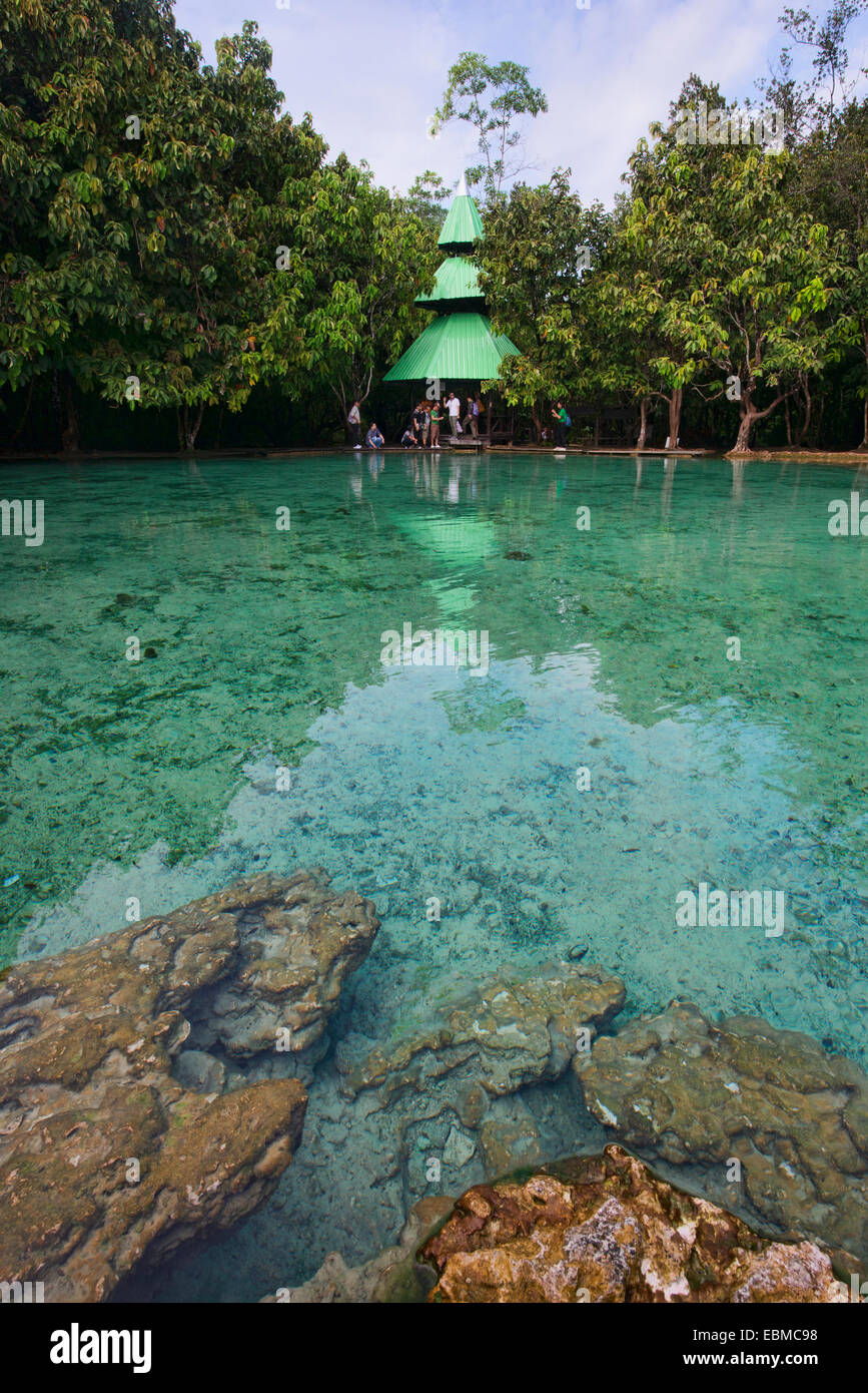 The Sa Morakot Emerald Pool in Krabi, Thailand Stock Photo - Alamy