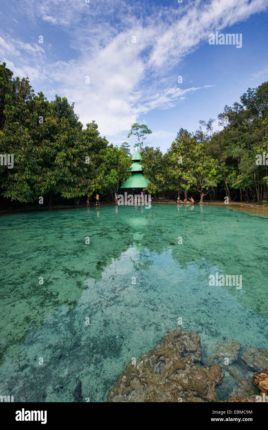The Sa Morakot Emerald Pool in Krabi, Thailand Stock Photo - Alamy