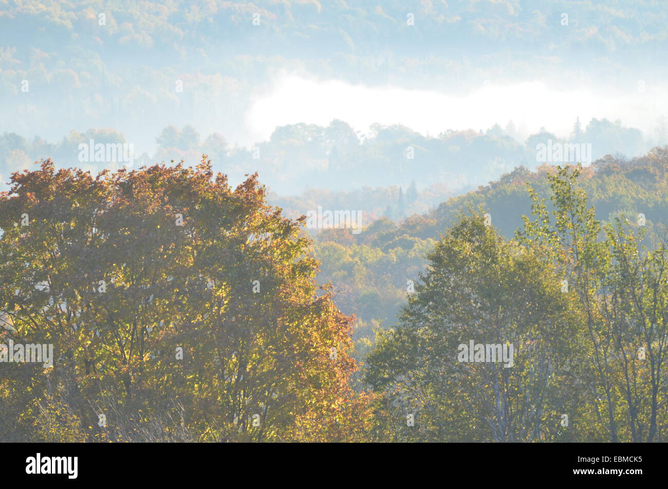 Fall trees distance hi-res stock photography and images - Alamy