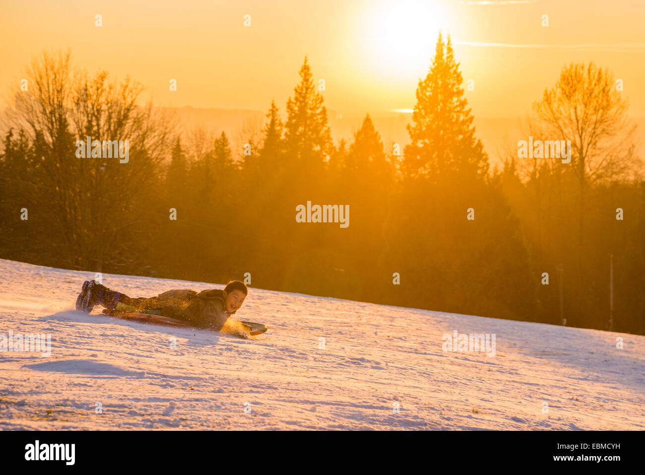 Boy sledding on Burnaby Mountain, Burnaby, British Columbia, Canada ...