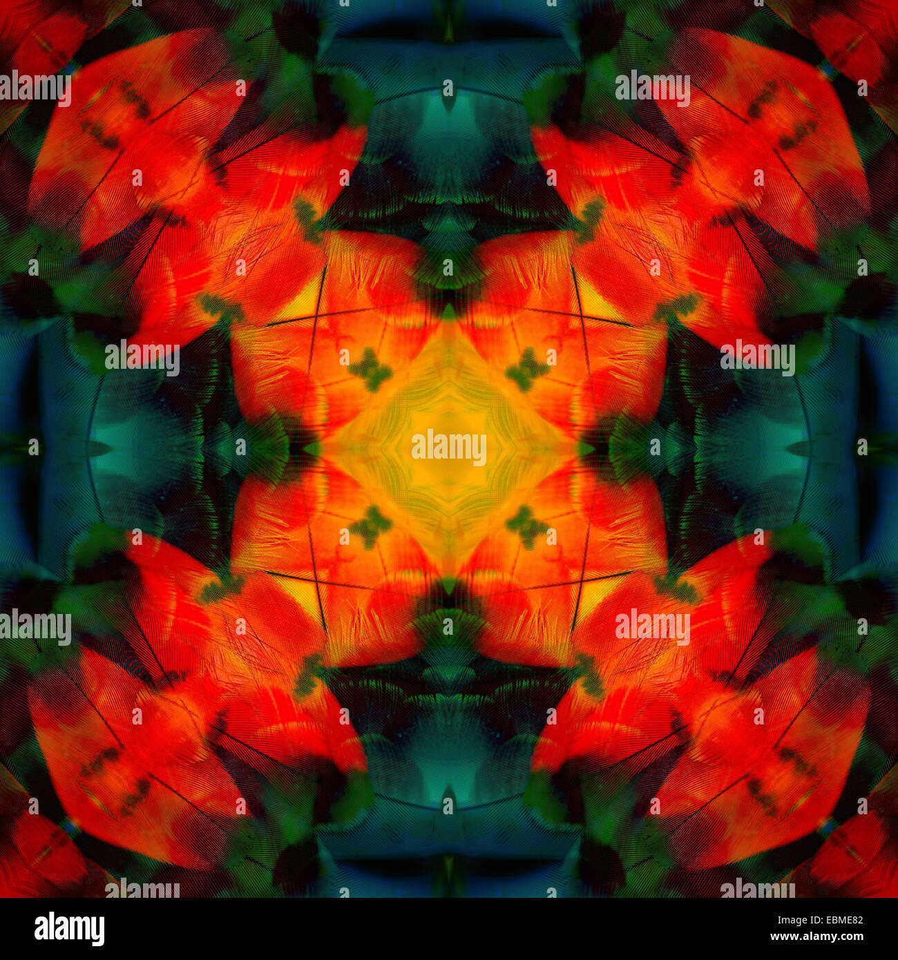 Seamless pattern made from Scarlet Macaw feathers Stock Photo - Alamy