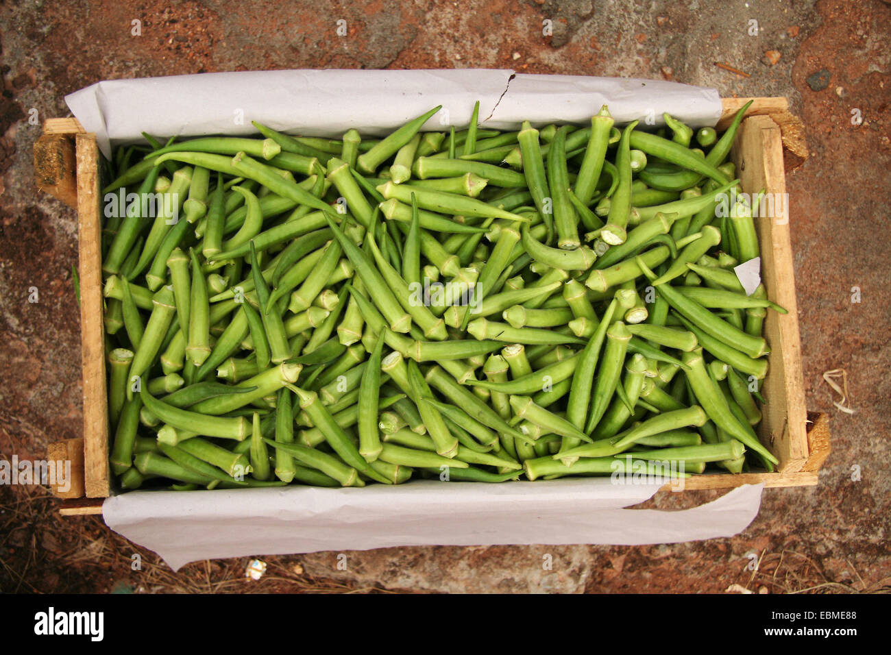 Wooden box filled with okra Stock Photo - Alamy