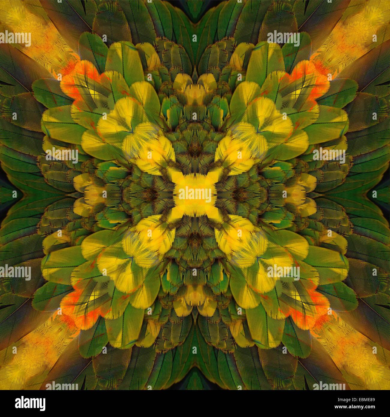 Seamless pattern made from Sun Conure feathers Stock Photo - Alamy