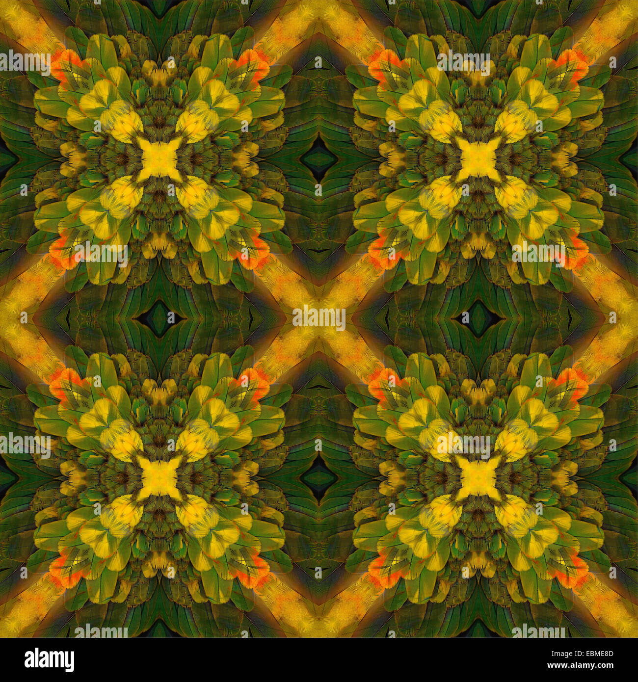 Seamless pattern made from Sun Conure feathers Stock Photo - Alamy