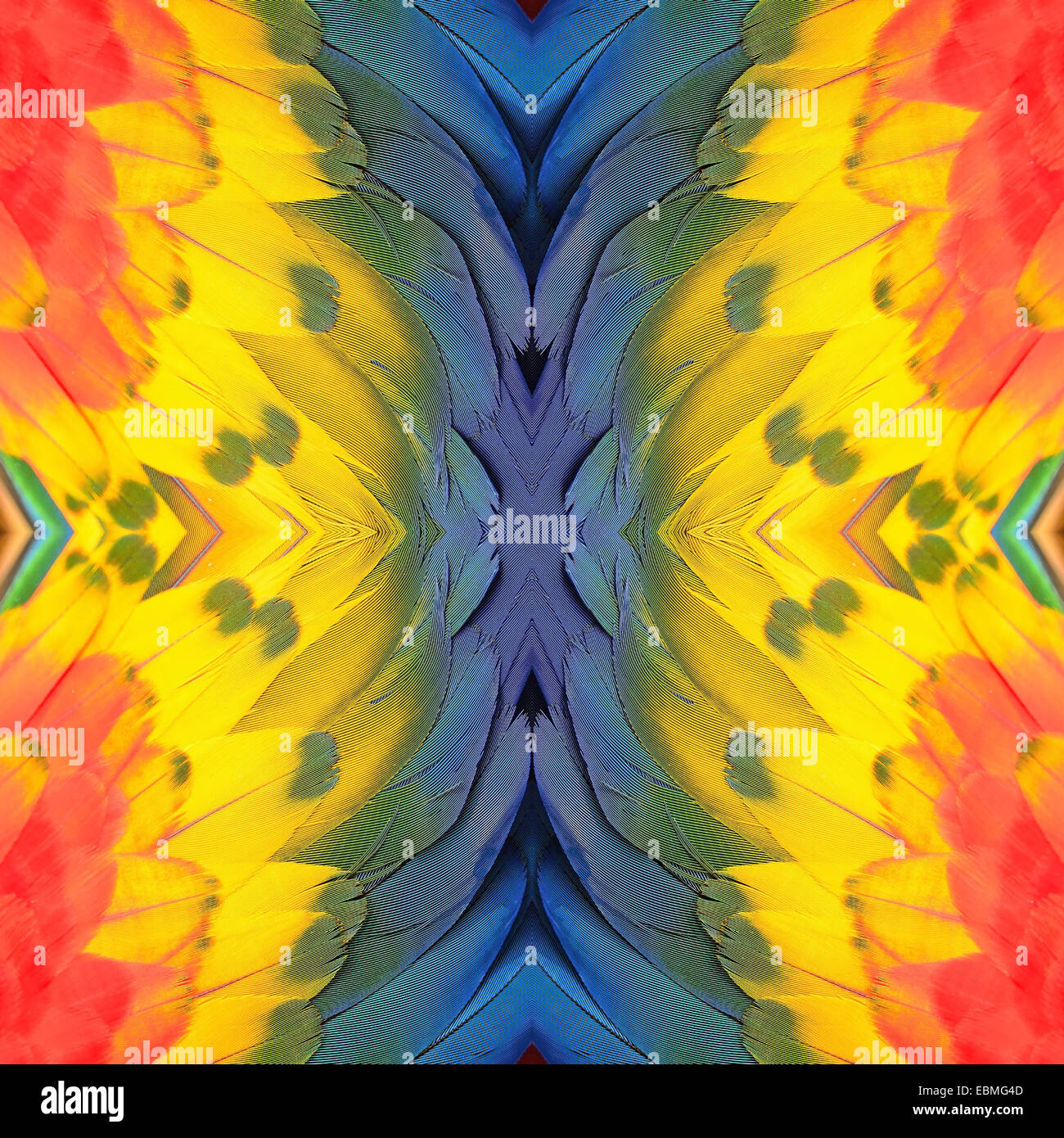 Seamless pattern made from Scarlet Macaw feathers Stock Photo - Alamy