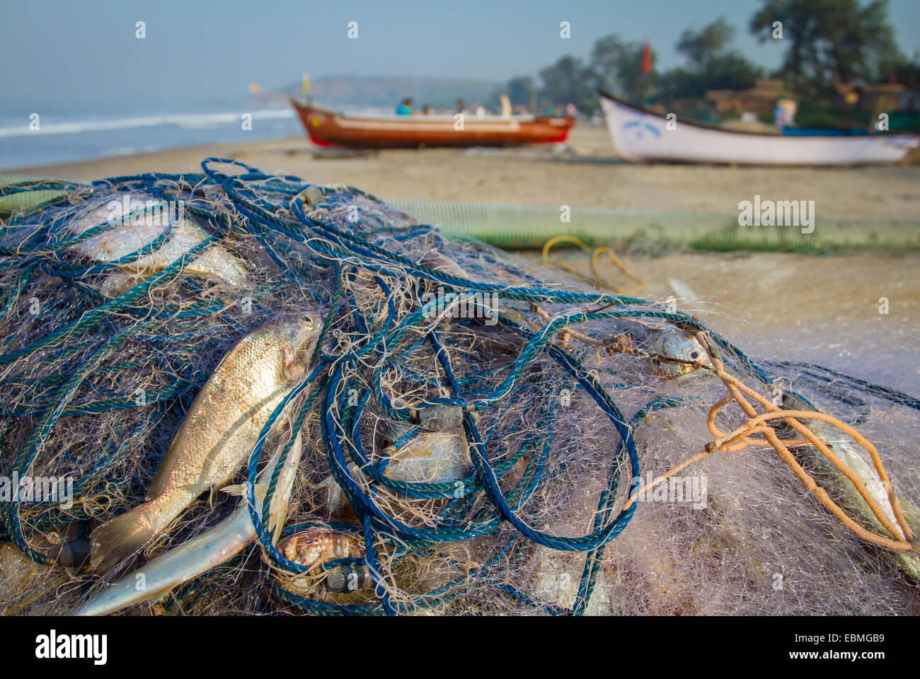 Fish in net fishing hi-res stock photography and images - Alamy