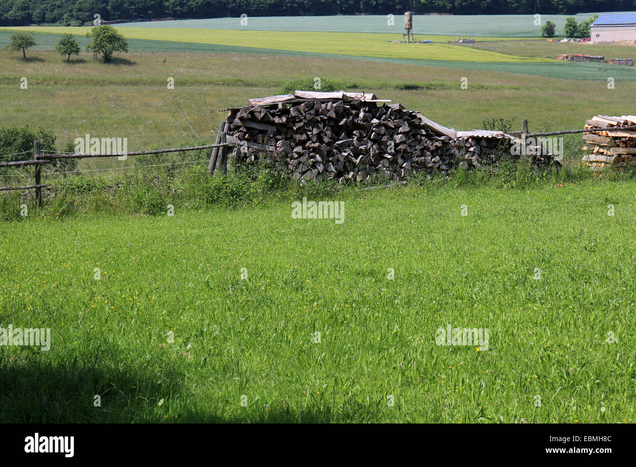 Fields on the Rhine plateau at Kamp-Bornhofen - Rheinsteig - Kamp ...