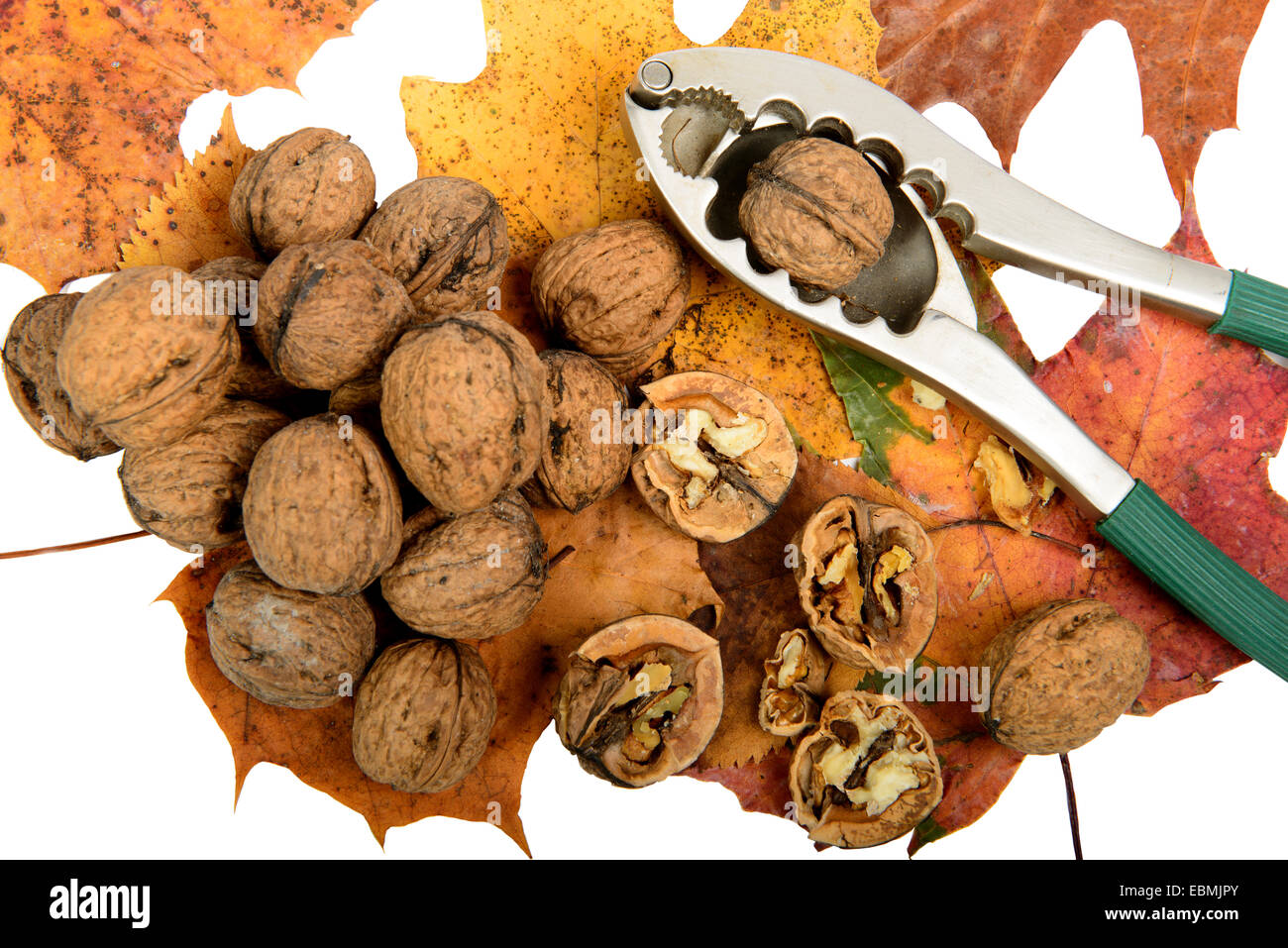 walnuts and nutcracker with autumn leaves Stock Photo - Alamy
