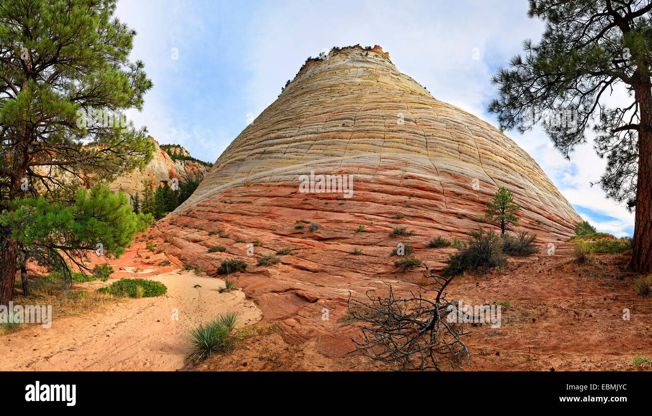 The Checkerboard Mesa, a table mountain, checkerboard patterns created ...