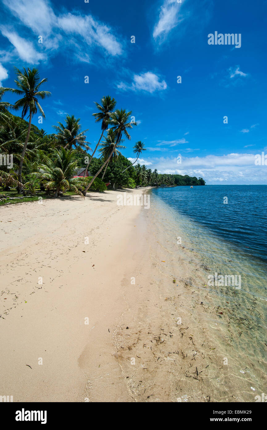 Peleliu island hi-res stock photography and images - Alamy