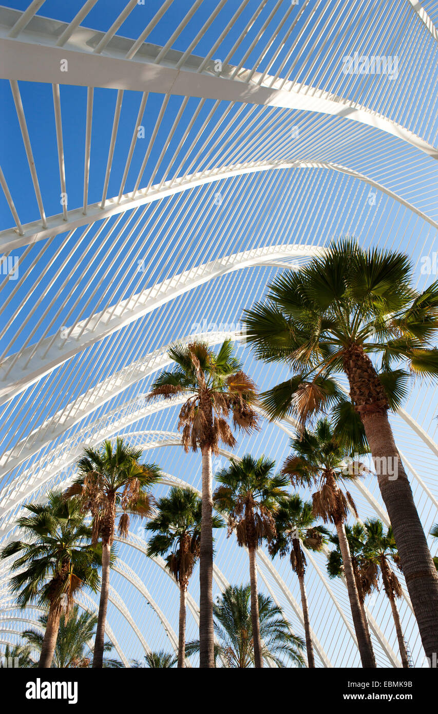L'Umbracle Palm Garden, Ciudad de las Artes y las Ciencias, City of ...