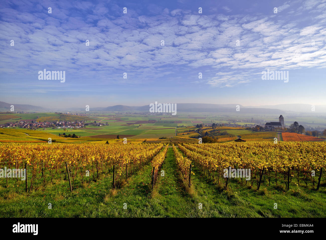 Klettgau vineyards hi-res stock photography and images - Alamy