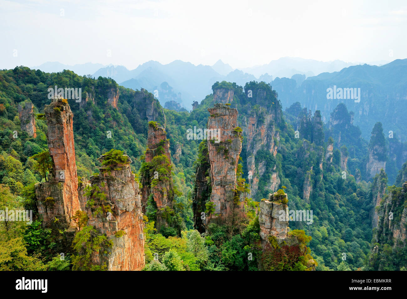 Tianzishan mountain with vertical rock columns of quartz sandstone ...