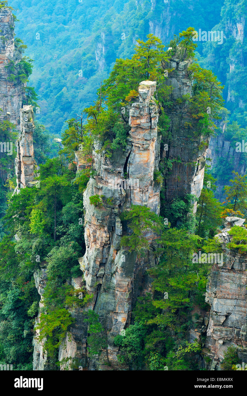 Tianzishan mountain with vertical rock columns of quartz sandstone ...