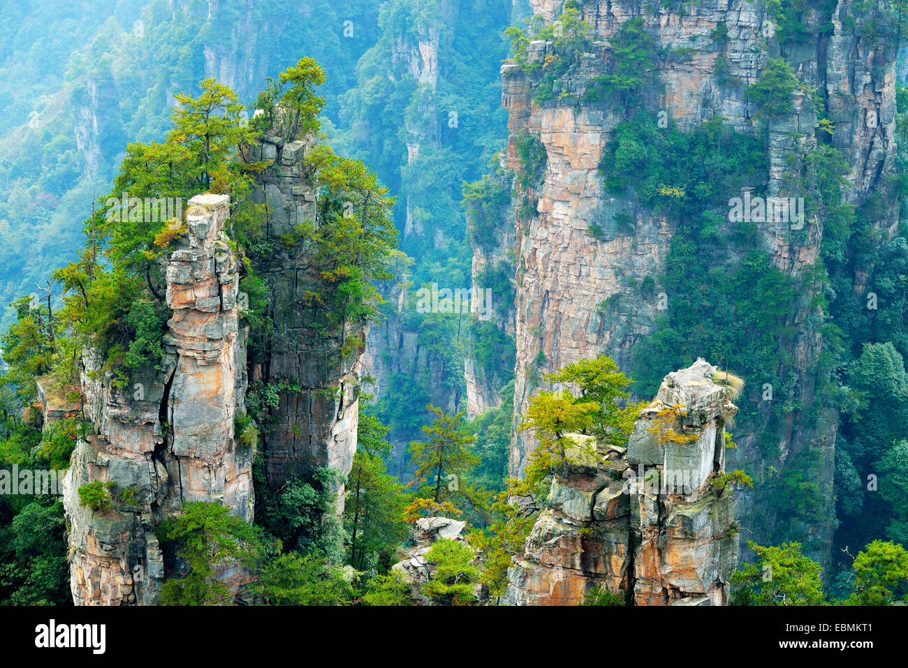 Tianzishan mountain with vertical rock columns of quartz sandstone ...