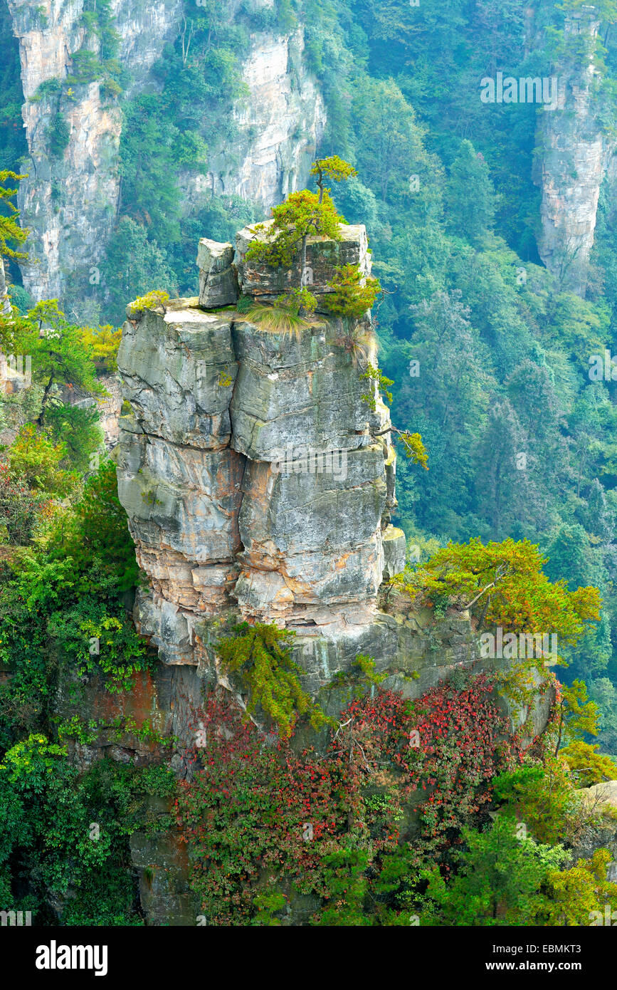 Tianzishan mountain with vertical rock columns of quartz sandstone ...