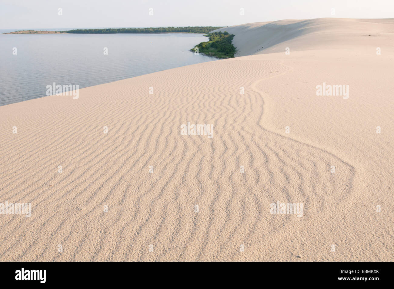 Wandering dune, High Dune, Nida, Curonian Spit, Klaipėda County ...