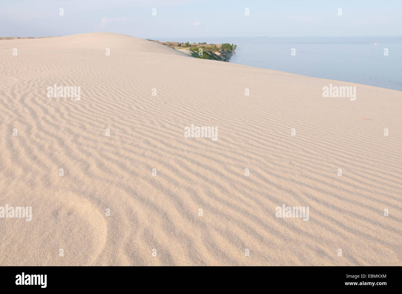 Nida lithuania dune hi-res stock photography and images - Alamy