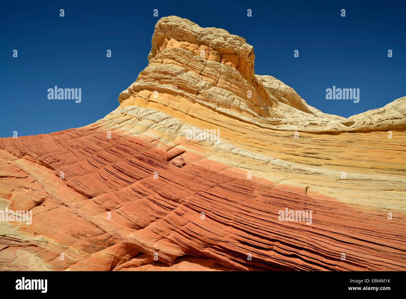 Lollipop Rock, Brain Rocks at White Pocket eroded Navajo sandstone rock ...