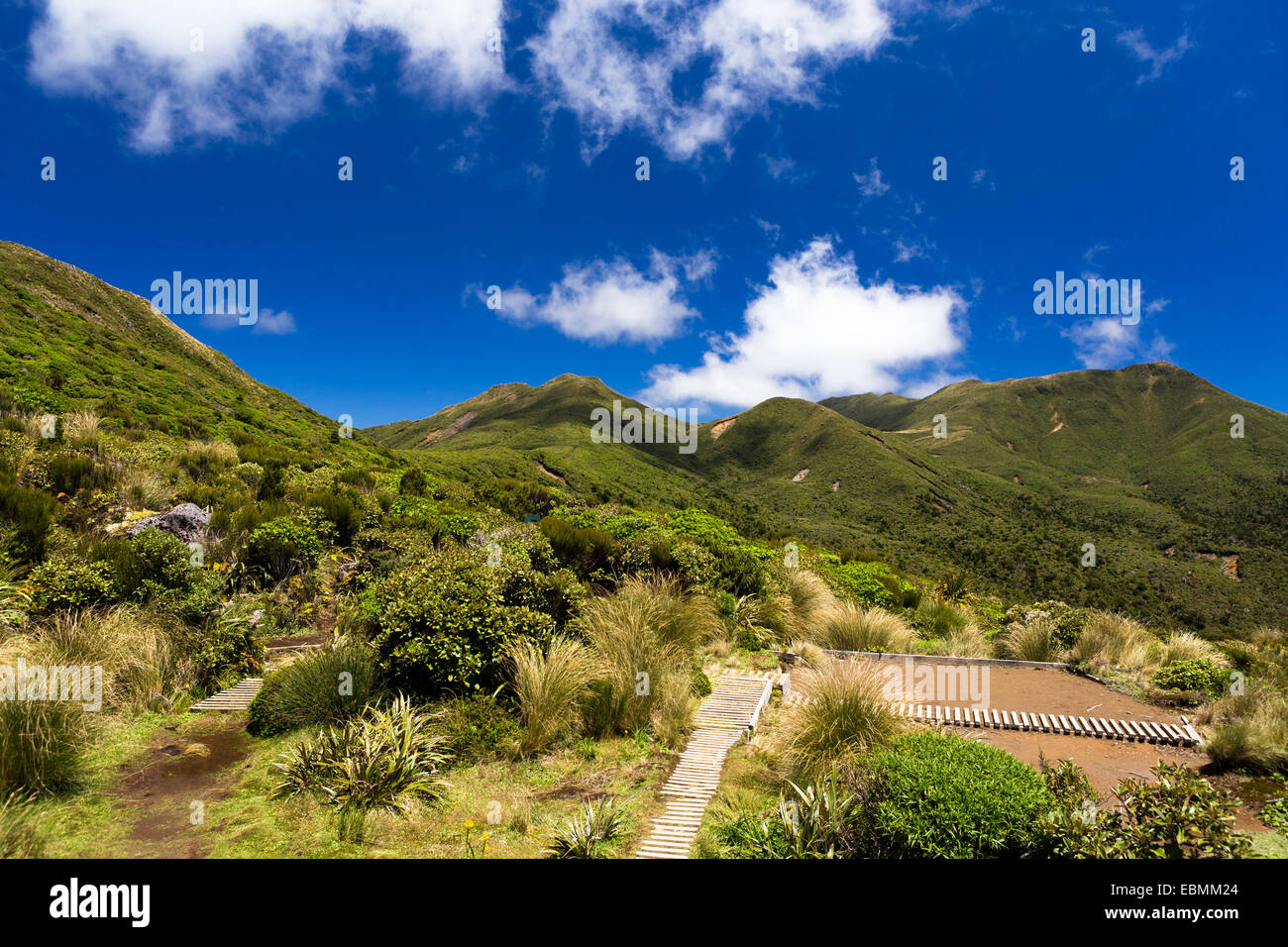 View from the Pouakai Hut of the summit of Mt Pouakai, Pouakai Range ...