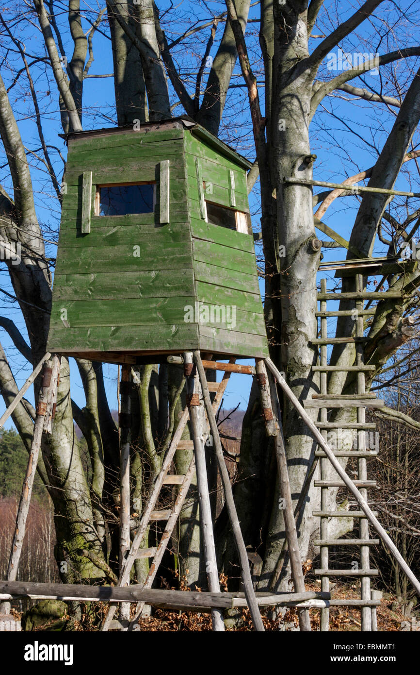 Green wooden hunting hide in woods, Czech Republic Stock Photo - Alamy