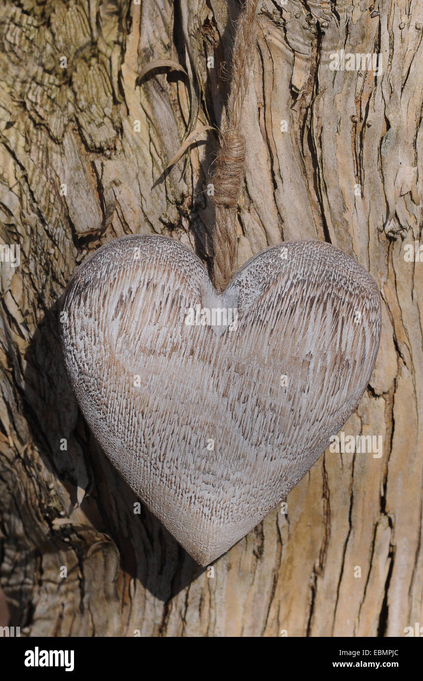 Wooden heart on a tree trunk Stock Photo - Alamy