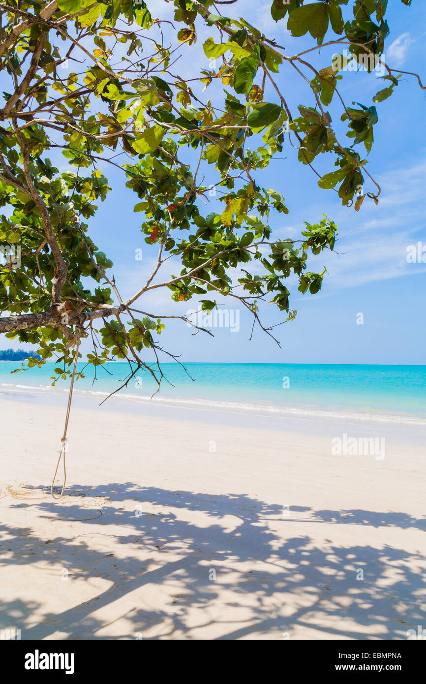 White sand beach and tree at blue sky Stock Photo - Alamy