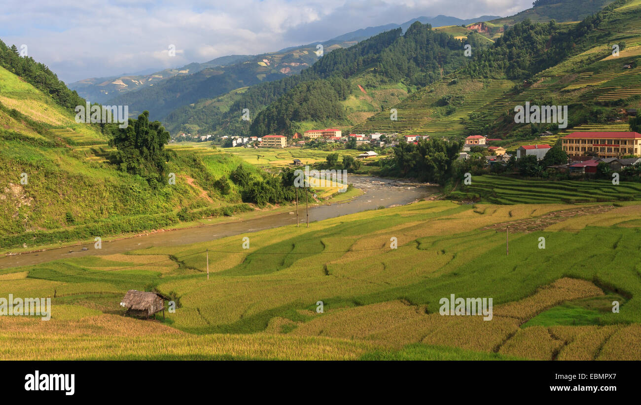 Beautiful Rice Terraces, South East Asia Stock Photo - Alamy