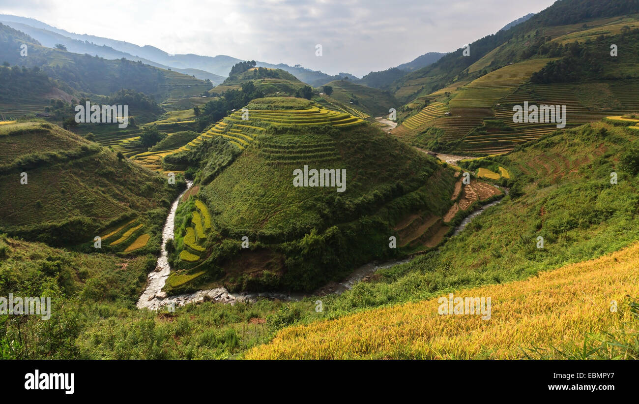Beautiful Rice Terraces, South East Asia Stock Photo - Alamy